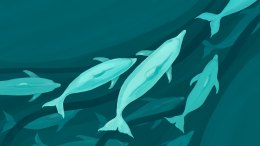 Migrating Facebook To MySQL 8 0 Engineering At Meta